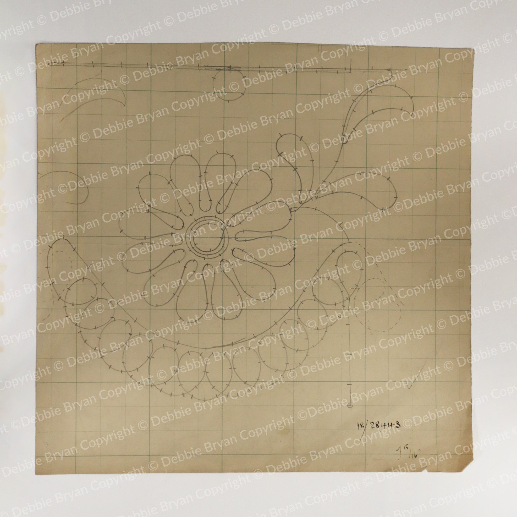 Nottingham Lace Draughtsman Drawing 18/28443 – Debbie Bryan
